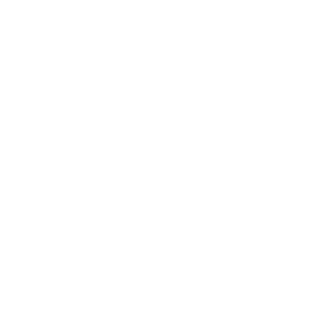 セグエセキュリティ | Segue Security 安心なデジタル社会を、すみずみまで